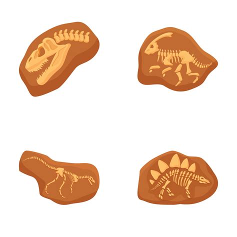 Set Of Dinosaur Fossils Isolated On White Background 47052799 Vector Art At Vecteezy