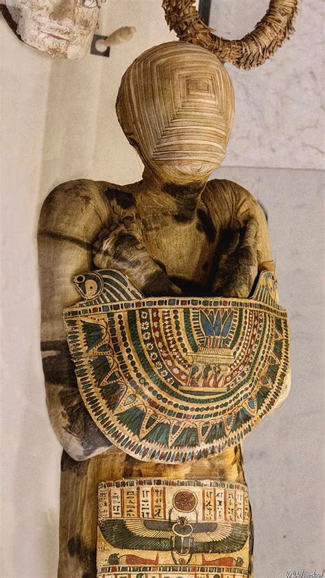 The Bashiri Mummy Egypts Untouchable Enigma History Magazine