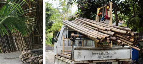 The Top Steps You Need To Start Your Bamboo Project Bamboo U