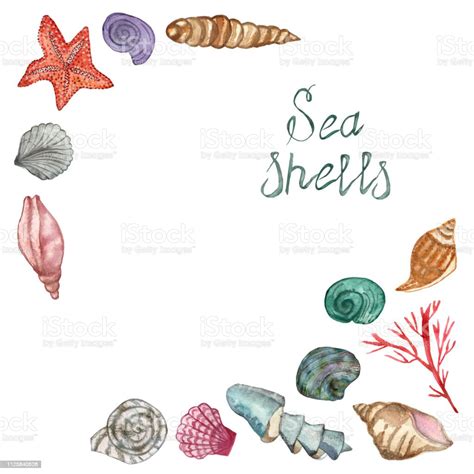 바다 조개의 집합 그린 수채화 서 예 비와 흰색 배경에 고립 손으로 그린 아름 다운 초대 디자인 인사장 포스터 및 가방 불가사리