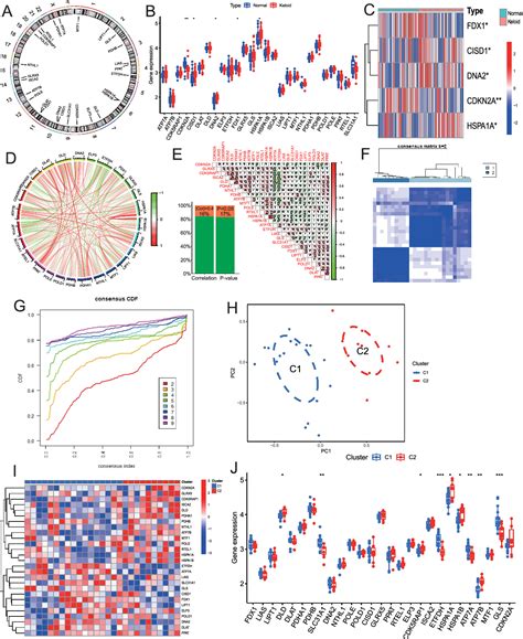 Figure 2 From Discovering And Validating Cuproptosis Associated Marker Genes For Accurate Keloid