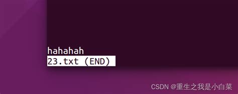 linux文件基础指令操作 csdn博客