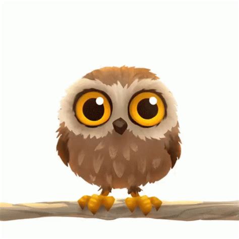Owl Animated Cute  Baykuş Dövmeleri Komik Ler Bayrak