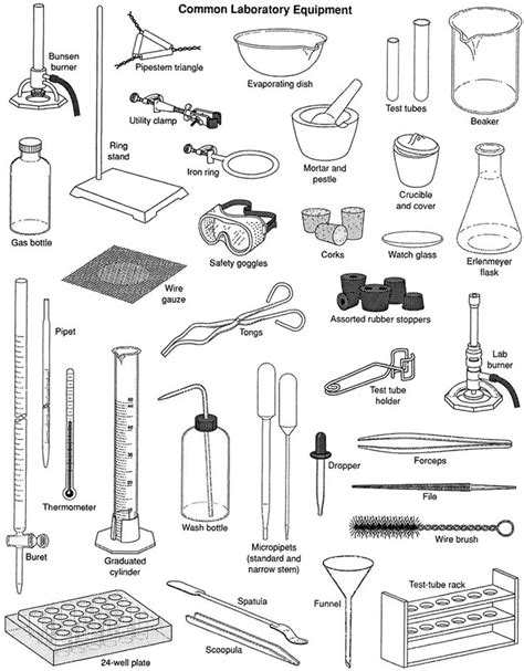 30 Popular Laboratory Equipment And Scientific Instruments In English ESLBUZZ