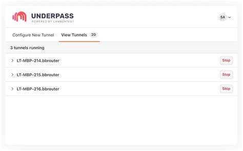 Test Local Websites With Underpass Lambdatest