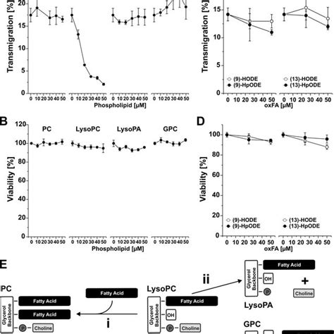 Lysopc Itself And No Metabolic Derivative Is Responsible For The