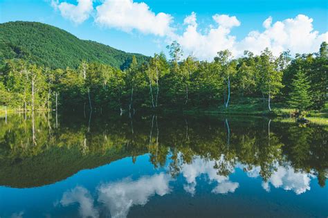 写真と旅する乗鞍高原の自然の魅力とサステイナブル観光のバトンの受け継ぎ方フォトグラファー相沢亮 TABIPPO NET