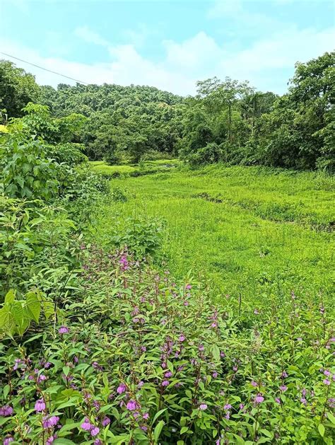 Sacheen Marutirao Vipat On Linkedin Investorconnection Bestfor