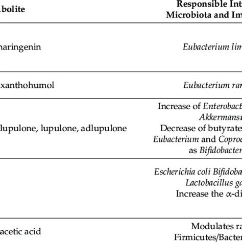 Relationship Between Polyphenols Within Beer And Gut Microbiota