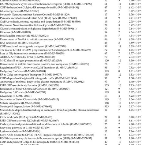 Reactome Pathway Classification Of Murine Naglu −− Brain Tissue