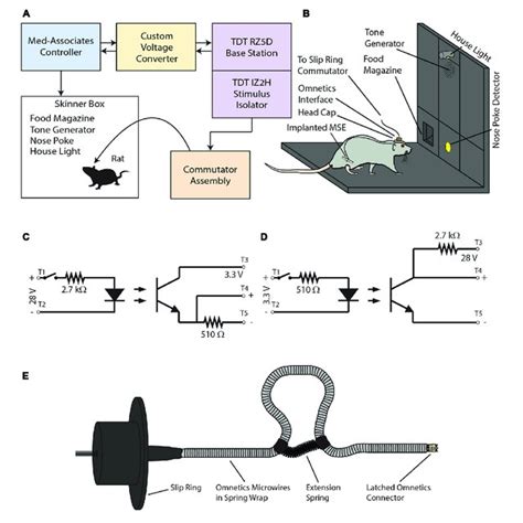 A The Experimental Apparatus Consists Of A Behavioral Module Blue Download Scientific