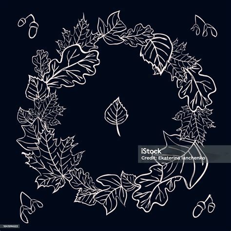 단풍나무 자작나무 참나무 도토리와 벡터 화 환 국경 튤립 나무 잎 씨 및 다시 학교로 카드 서식 파일에 대 한 도토리 도토리에 대한 스톡 벡터 아트 및 기타 이미지 Istock