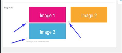 Html Border Around The Image Selected When Radio Button Visibility Hidden Stack Overflow