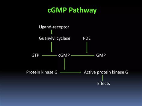 Secondary Messengers System Pptx