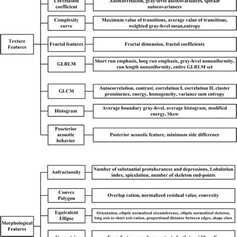 Texture Features And Morphological Features Used In The Experiments