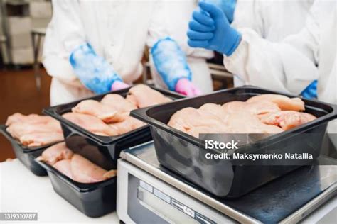 일하는 사람들 식품 고기 닭고기 컨베이어에 플라스틱 포장 치킨 필렛 생산 라인 육류 가공 장비 반완육류 제품의 생산을 위한 라인 포장에 대한 스톡 사진 및 기타 이미지