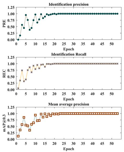 Mcd Yolov5 Accurate Real Time Crop Disease And Pest Identification Approach Using Uavs