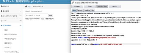 Pikachu之sql Sql注入通关 2022pikachu Sql Csdn博客
