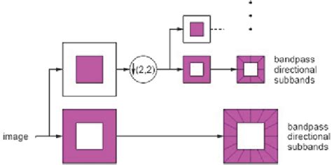 Figure 1 From Contourlet Based Feature Extraction And Classification For Wireless Capsule