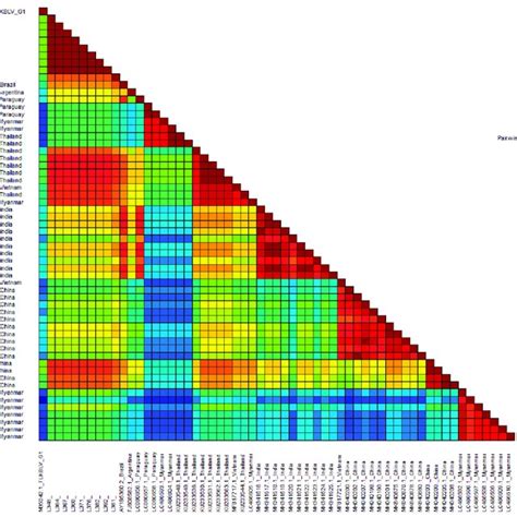 sdt color coded matrix of pairwise identity scores generated by the