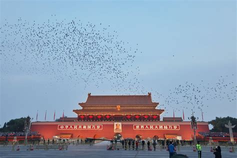 新中国73周年华诞 天安门广场群众彻夜守候观升旗 搜狐大视野 搜狐新闻