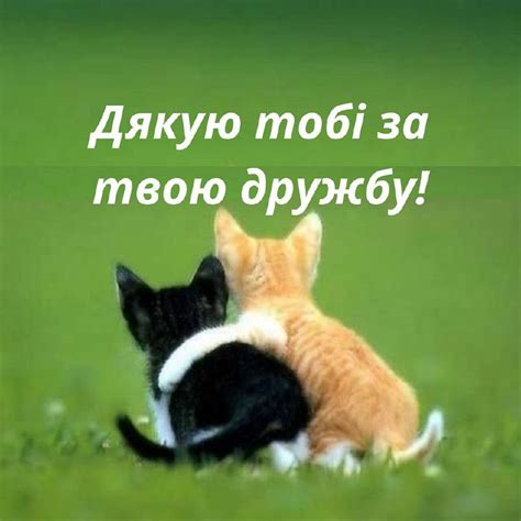 З Днем дружби привітання в картинках для друзів