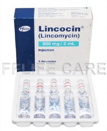 Liquid Lincomycin Injection Lincocin 600mg 2ml At Best Price In Surat Pziff Life Care