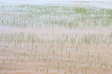 អភិបាលខេត្តត្បូងឃ្មុំ អញ្ជើញចុះត្រួតពិនិត្យស្ថានភាពជំនន់ទឹកទន្លេមេគង្គ និងទឹកភ្លៀង