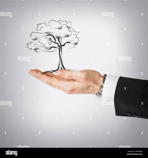 Tree Sketch High Resolution Stock Photography And Images Alamy