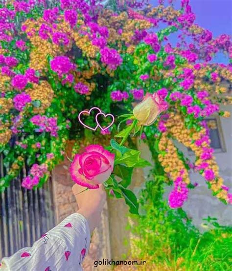 عکس پروفایل دخترونه کیوت 2024؛ پینک صورتی بسیار بانمک بدون چهره و متن گلی خانوم