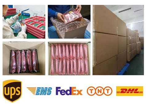 Dc 모터 컨트롤러 보드 Pwm 모터 제어 전압 범위 12v 48v 자동화 시스템 전문가용