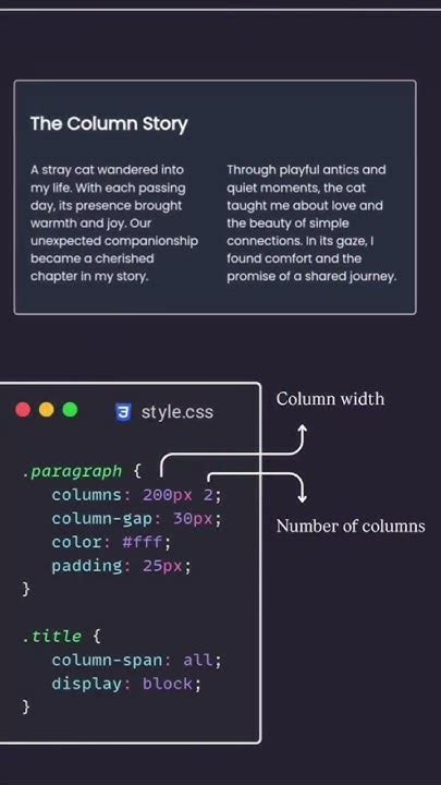 Frontend Design Coding Youtubeshortsprogramming Viralvideo