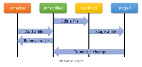 Git With Xcode And Terminal