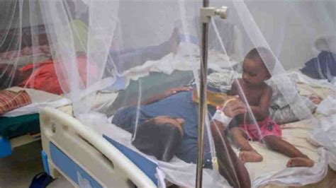 বাংলাদেশে ডেঙ্গু সংক্রমণ নতুন রোগী ২৭৫ হাসপাতালে চিকিৎসাধীন ৮৮৬ জন