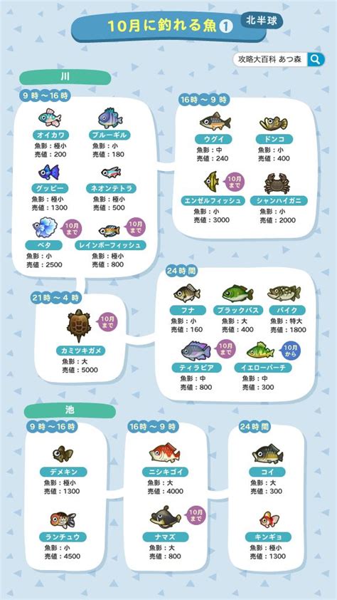 海 の 幸 あつ 森