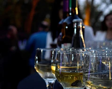 Club Círculo San Ángel Mas Que Estilo