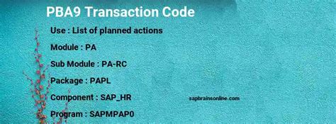 PBA SAP Tcode For List Of Planned Actions