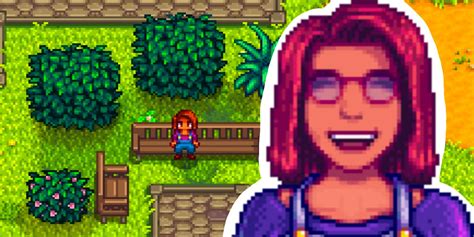 Stardew Valley Maru Heart Event Guide