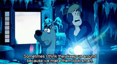 Viral Photos Viral Images Funny Memes New Scooby Doo Scooby Doo