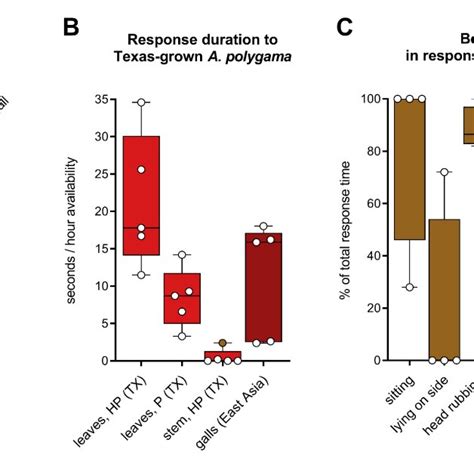 Response Of Domestic Cats To Texas Grown A Polygama A Detection Of Download Scientific
