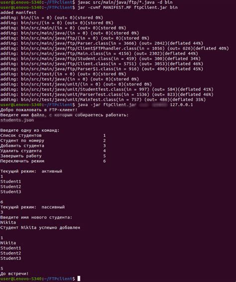 GitHub NikitaBindenko FTPclient
