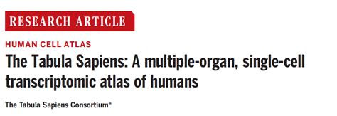 Science Tabula Sapiens：人类多器官单细胞转录本测序图谱 哔哩哔哩