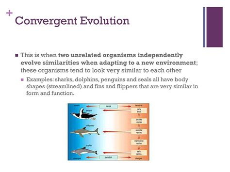 The History Of Life Chapter Ppt Download