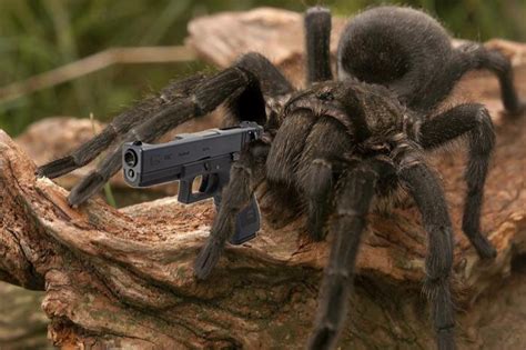 The Attack Of The Mutant Spiders Release Date Videos Screenshots Reviews On Rawg