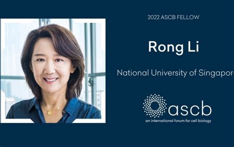 Rong Li Lab Mechanobiology Institute National University Of Singapore