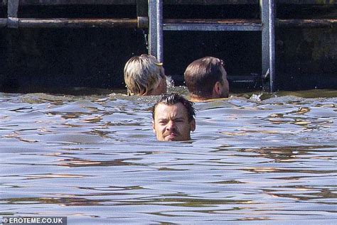 I Think If I Saw Harry Styles In His Swim Shorts Id Drown Twitter