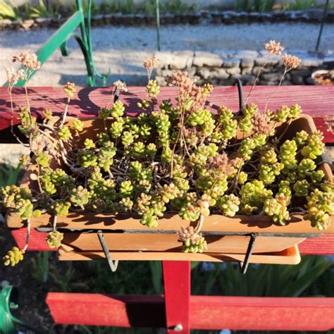 165 Servimg Com Free Image Hosting Service