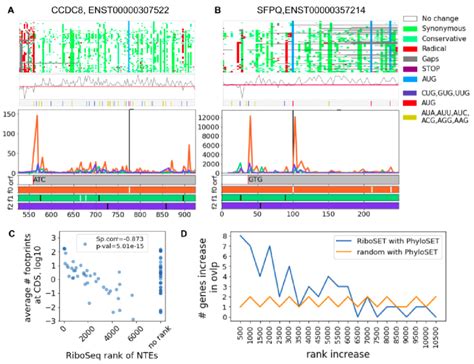 Genes Found In Both Phyloset And Riboset A Ccdc8 B Sfpq Genomic