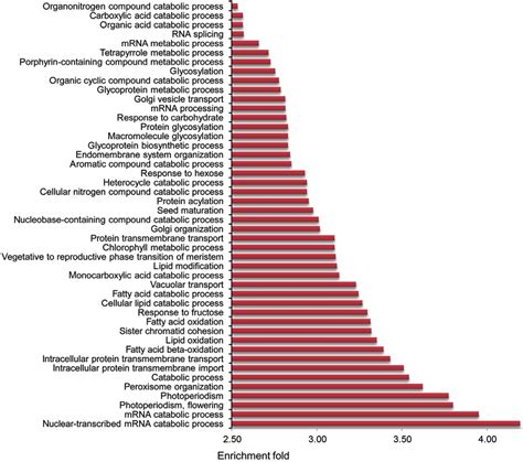 Gene Ontology Go Functional Categorization Of All Differentially