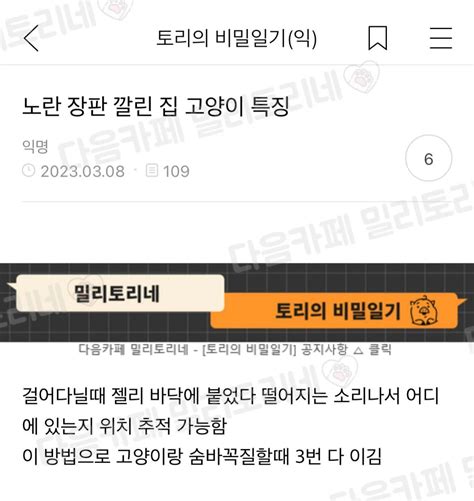 노란 장판 깔린 집의 고양이 특징 인스티즈instiz 이슈 카테고리